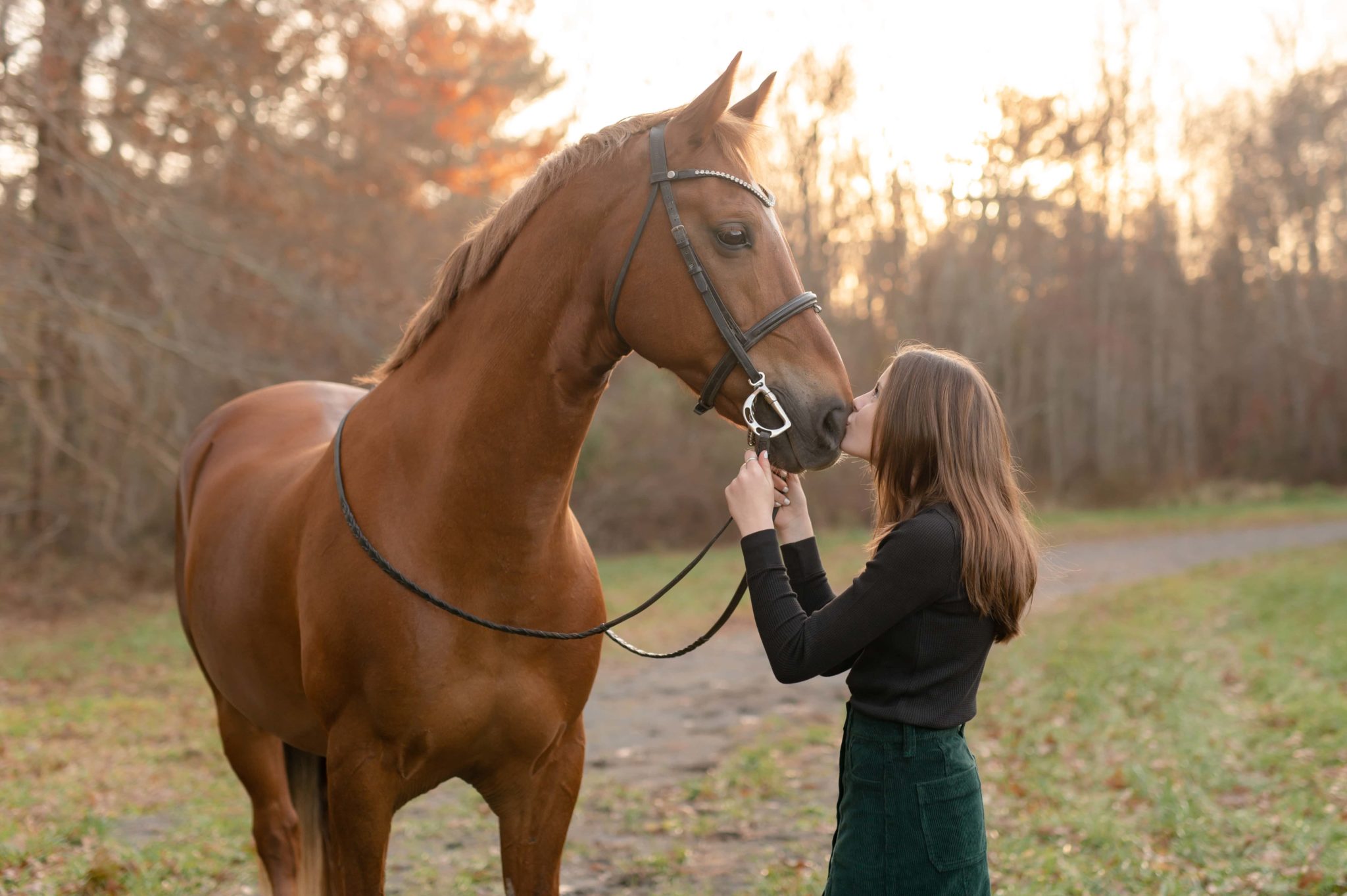 Equestrian Photography Guide - Stephanie Beth Photography
