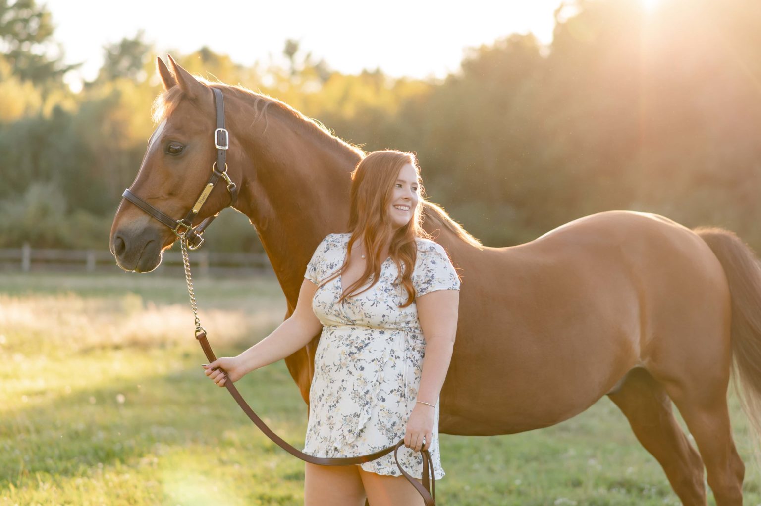 Equestrian Photography Guide - Stephanie Beth Photography
