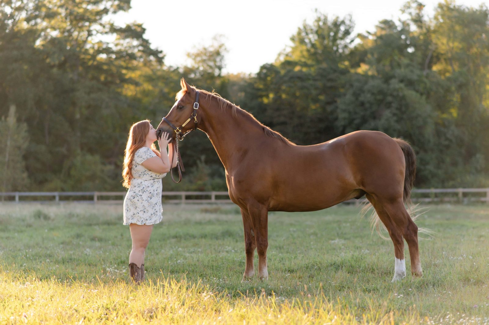 Equestrian Photography Guide - Stephanie Beth Photography